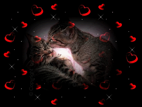 Manele GIF - Find & Share on GIPHY