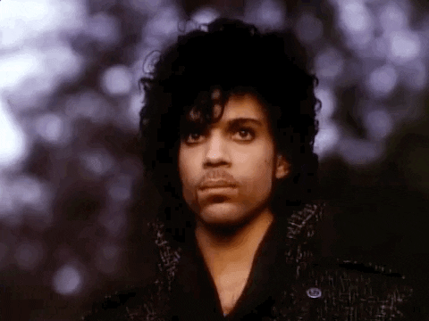 The Revolution Prince GIF - Find & Share on GIPHY