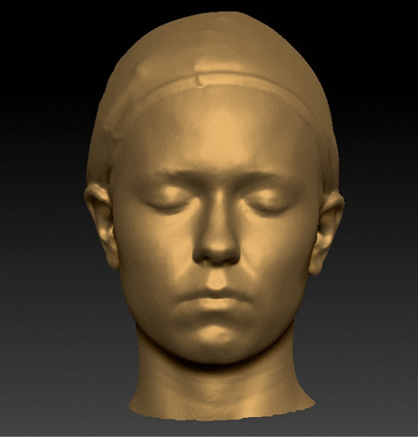 Head GIF - Find & Share on GIPHY