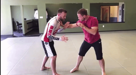 Armdrags and more armdrags : r/bjj