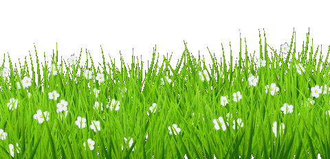 Green Grass Flowers Sticker for iOS & Android | GIPHY