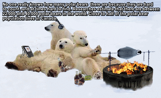 Canada Funny GIFs Find Share On GIPHY canada-funny-gifs-find-share-on-giphy