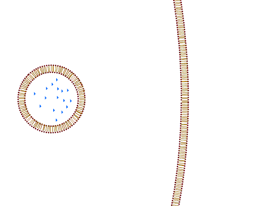 The Cell GIF - Find & Share on GIPHY