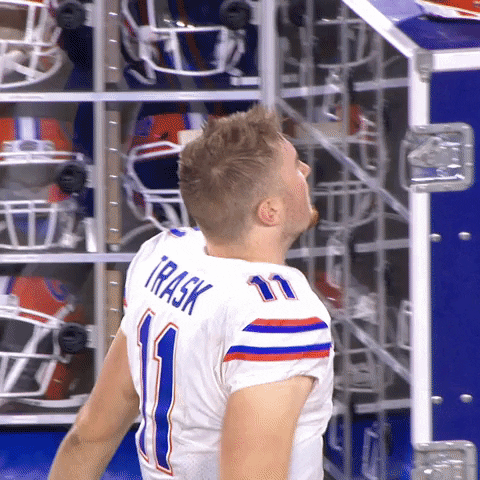 Happy Lets Go GIF by Florida Gators - Find & Share on GIPHY