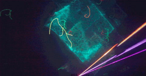 Lasers GIF - Find & Share on GIPHY