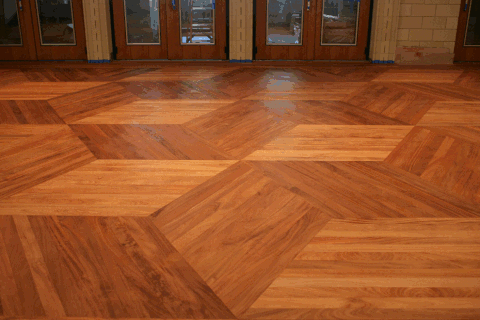 Floor GIF - Find & Share on GIPHY