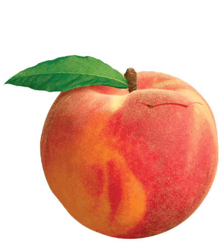 Sticker Sticker for iOS & Android | GIPHY