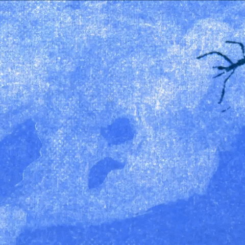 Animation Water GIF by kiin. - Find & Share on GIPHY