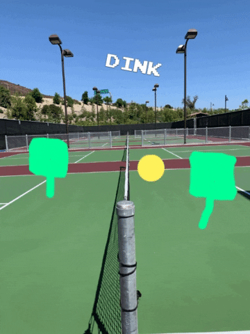 Pickleball GIF by picklepreferred - Find & Share on GIPHY