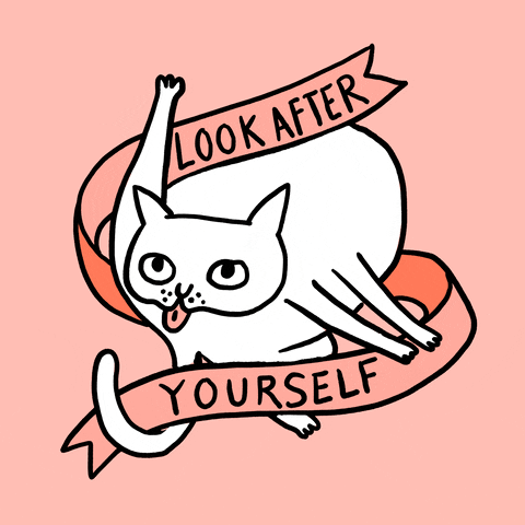 Cat Look After Yourself GIF by BadgeBomb - Find & Share on GIPHY
