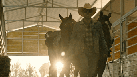 Stephen Dorff Sheriff GIF by FOX TV - Find & Share on GIPHY