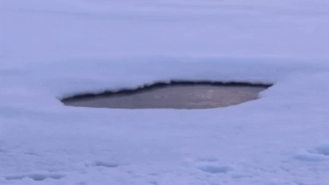 NASA GIFs - Find & Share on GIPHY