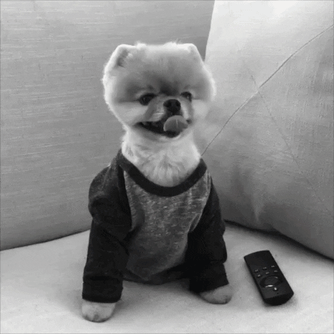 Dog Control GIF by Jiffpom - Find & Share on GIPHY