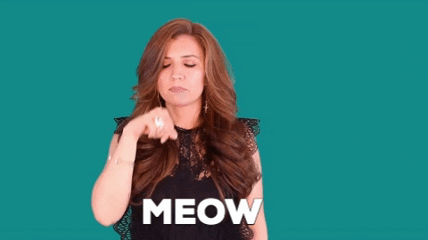 Amanda Cee Media GIF - Find & Share on GIPHY
