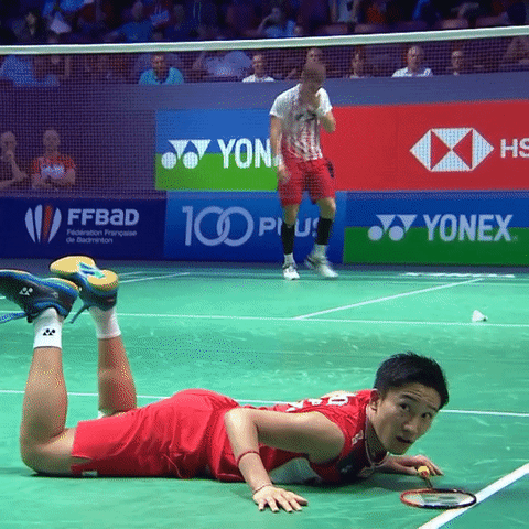 Badminton World Federation GIF - Find & Share on GIPHY