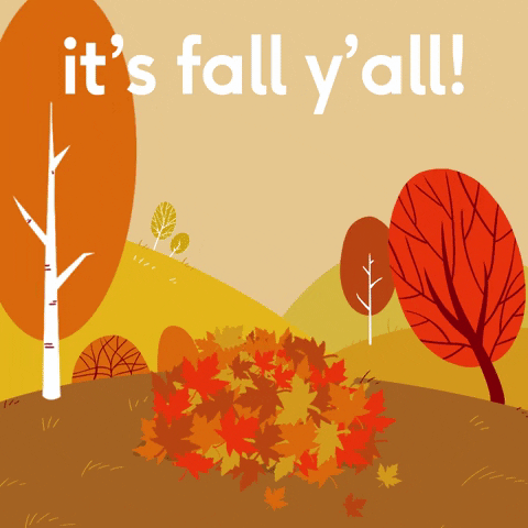 Fall Autumn GIF by bubly - Find & Share on GIPHY