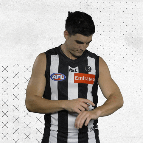 GIF by CollingwoodFC - Find & Share on GIPHY