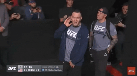 GIF by UFC - Find & Share on GIPHY