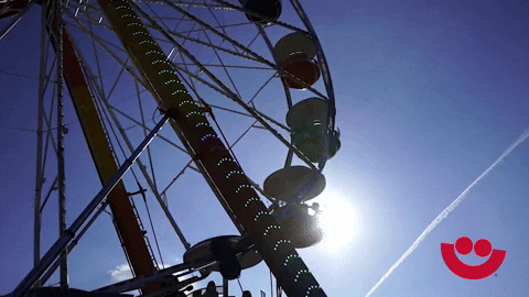 Music Festival GIF by Summerfest - Find & Share on GIPHY