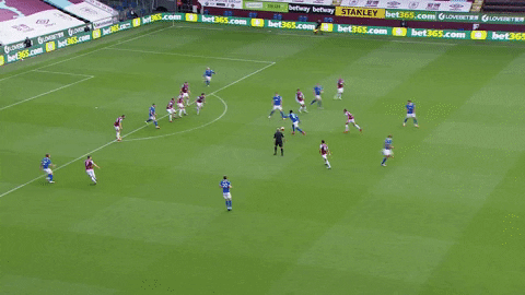 Bhafc GIF by Brighton & Hove Albion Football Club - Find & Share on GIPHY