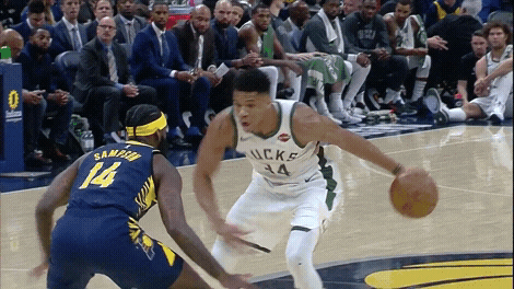 Indiana Pacers Win GIF by Milwaukee Bucks - Find & Share on GIPHY