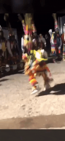 Bermuda Gombeys GIF by Bermemes - Find & Share on GIPHY