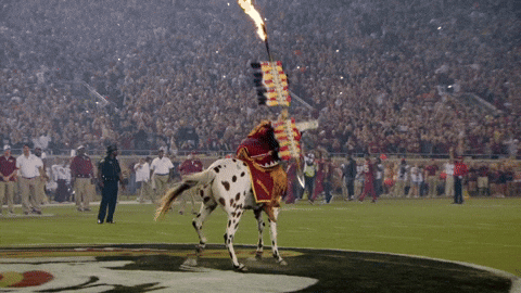 College Football Fsu GIF by ACC Network - Find & Share on GIPHY