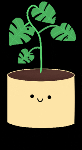 Love GIF - Find & Share on GIPHY