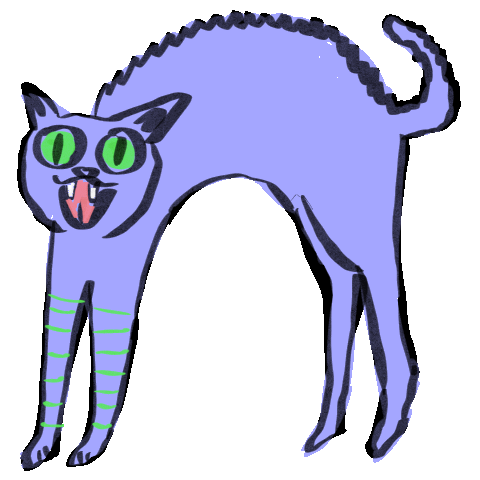 Shocked Cat Sticker by Vienna Pitts for iOS & Android | GIPHY