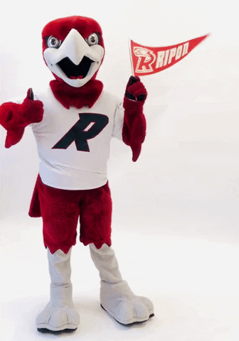 Go Team Fan GIF by Ripon College - Find & Share on GIPHY