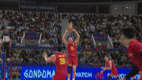 GIF by Volleyball World - Find & Share on GIPHY