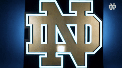 Celebration Spike GIF by Notre Dame Fighting Irish - Find & Share on GIPHY