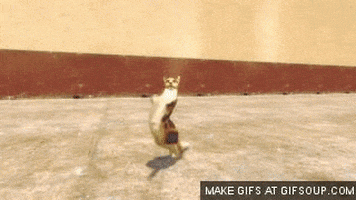 Gmod GIFs - Get the best GIF on GIPHY