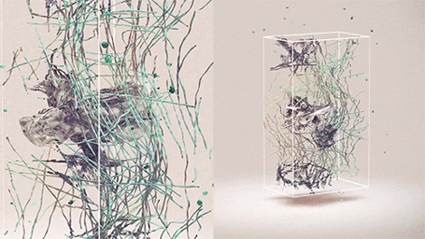 Cells Microbiology GIF by Digg - Find & Share on GIPHY