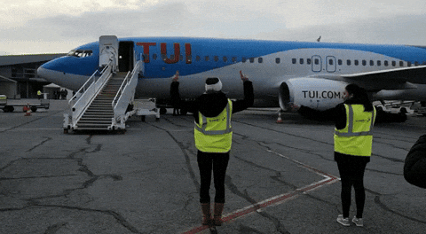 Fly Flying GIF by NewQuest - Find & Share on GIPHY