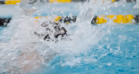 Georgia Bulldogs Swimming GIF by University of Georgia - Find & Share ...