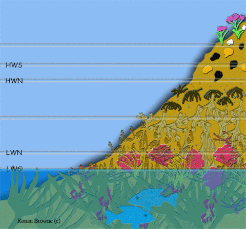 Ecology GIF - Find & Share on GIPHY