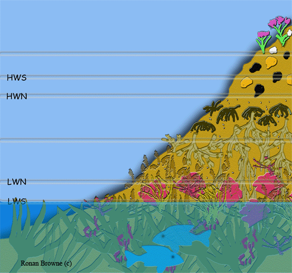 Ecology GIFs - Find & Share on GIPHY