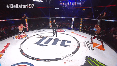 Fight Mma GIF by Bellator - Find & Share on GIPHY