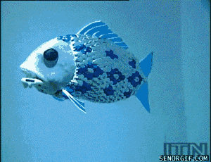 Fish Swimming GIF by Cheezburger - Find & Share on GIPHY