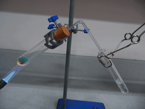 Limewater GIFs - Find & Share on GIPHY