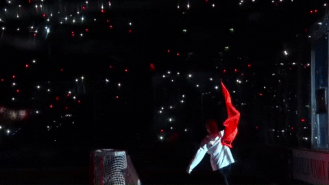 Sheffield GIF by Sheff_Steelers - Find & Share on GIPHY