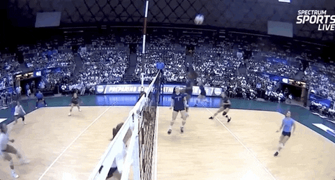 Volleyball Block GIFs - Get the best GIF on GIPHY