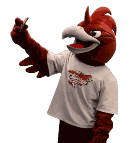 Roadrunner Rcnj Sticker by Ramapo College of New Jersey for iOS ...