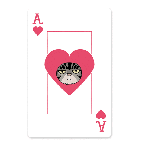 Play Cards Sticker for iOS & Android | GIPHY