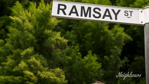 Melbourne Cup Smile GIF by Neighbours (Official TV Show account) - Find ...