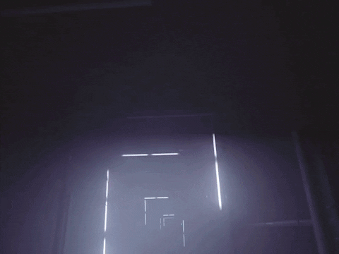 Toronto Zoo Lighting GIF by Moment Factory - Find & Share on GIPHY