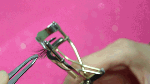 Eyelashextensionsadhesive Gifs Search Find Make