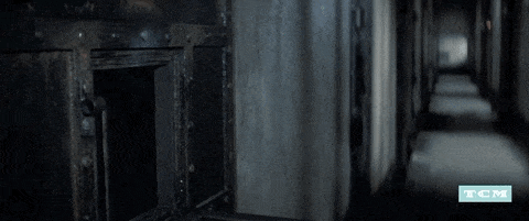 OK…I’ll take the solitary confinement… - Tiger Boards Archive Forum ...