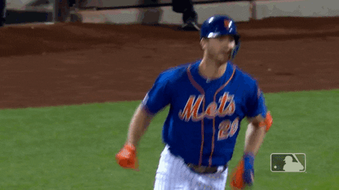 Celebrate Ny Mets GIF by New York Mets - Find & Share on GIPHY